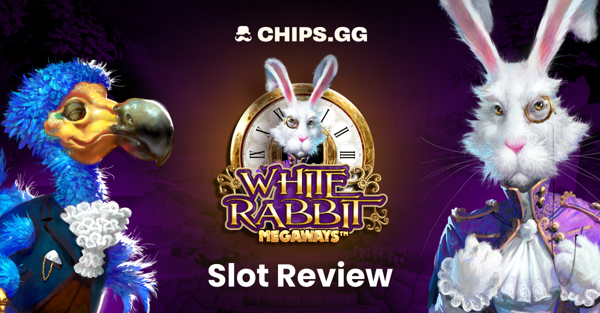 Down the White Rabbit Hole | Big Time Gaming