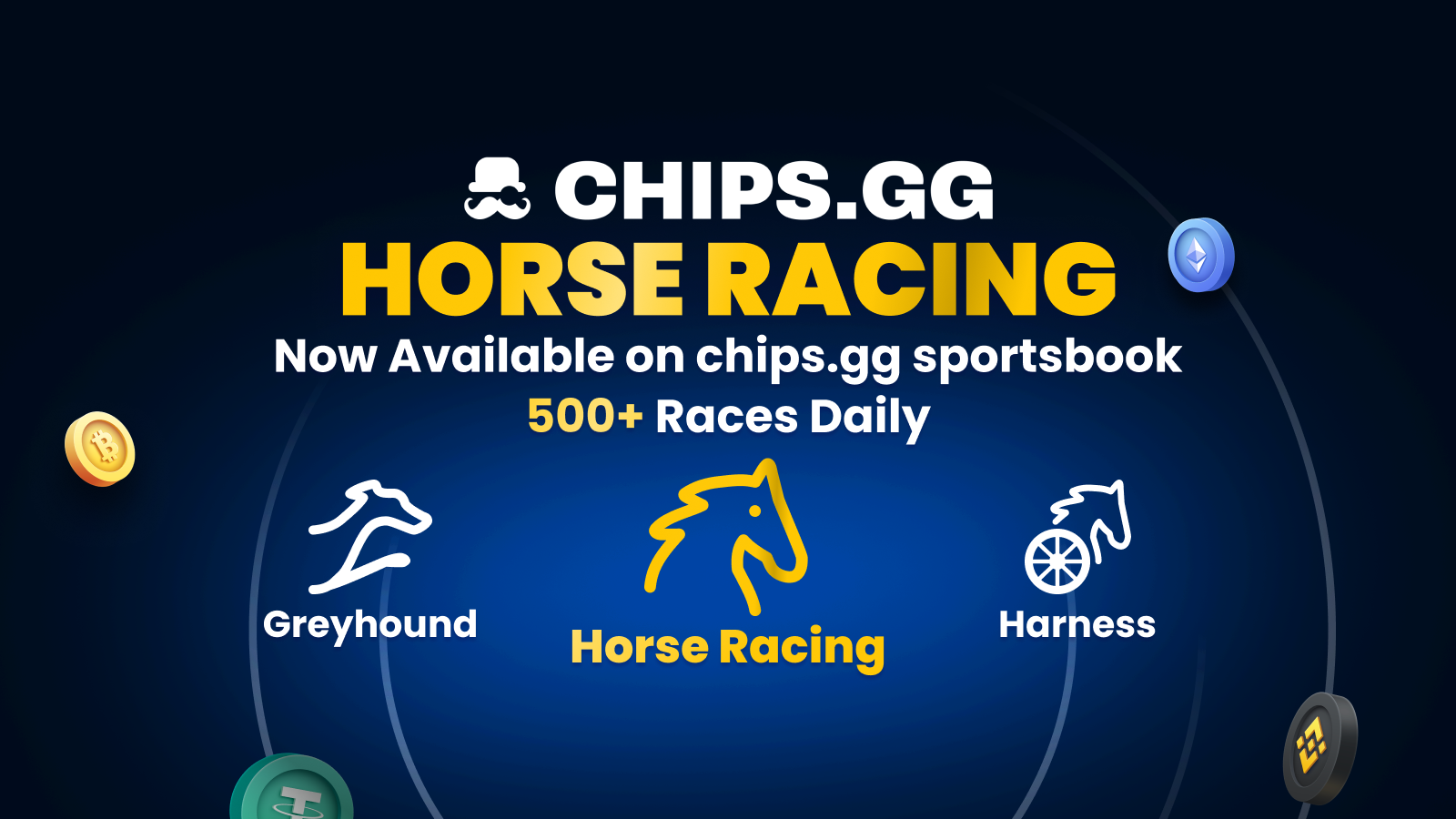 Bet on New Racing Options at Chips.gg